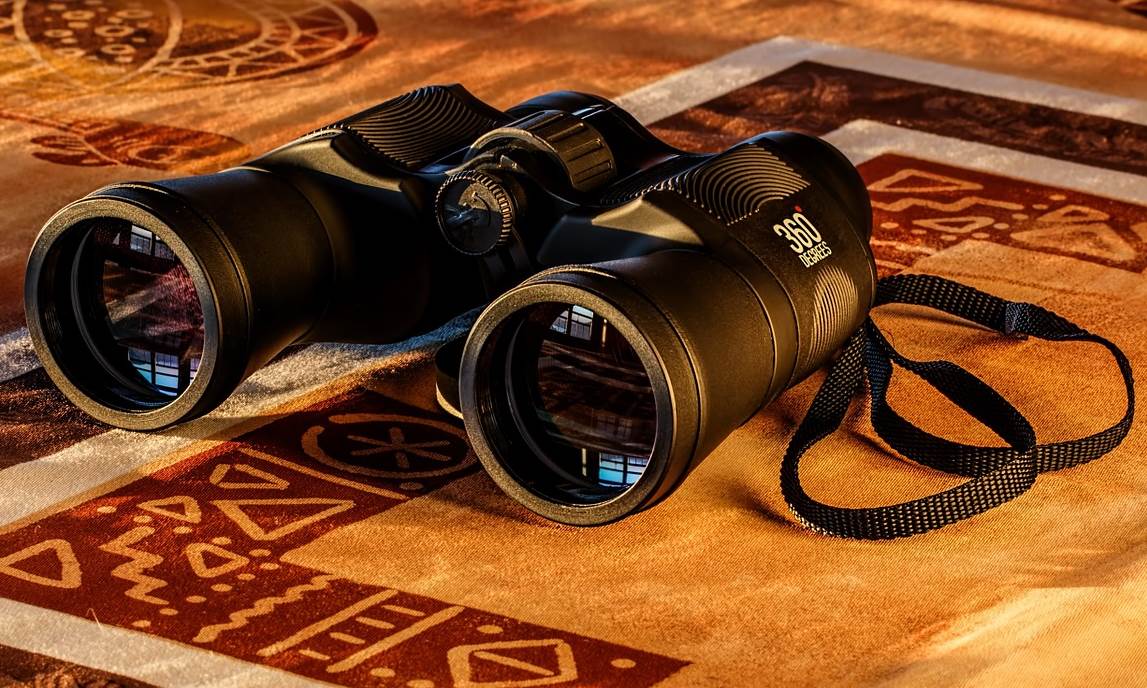 La auto-observación - EVOLUCION.CENTER