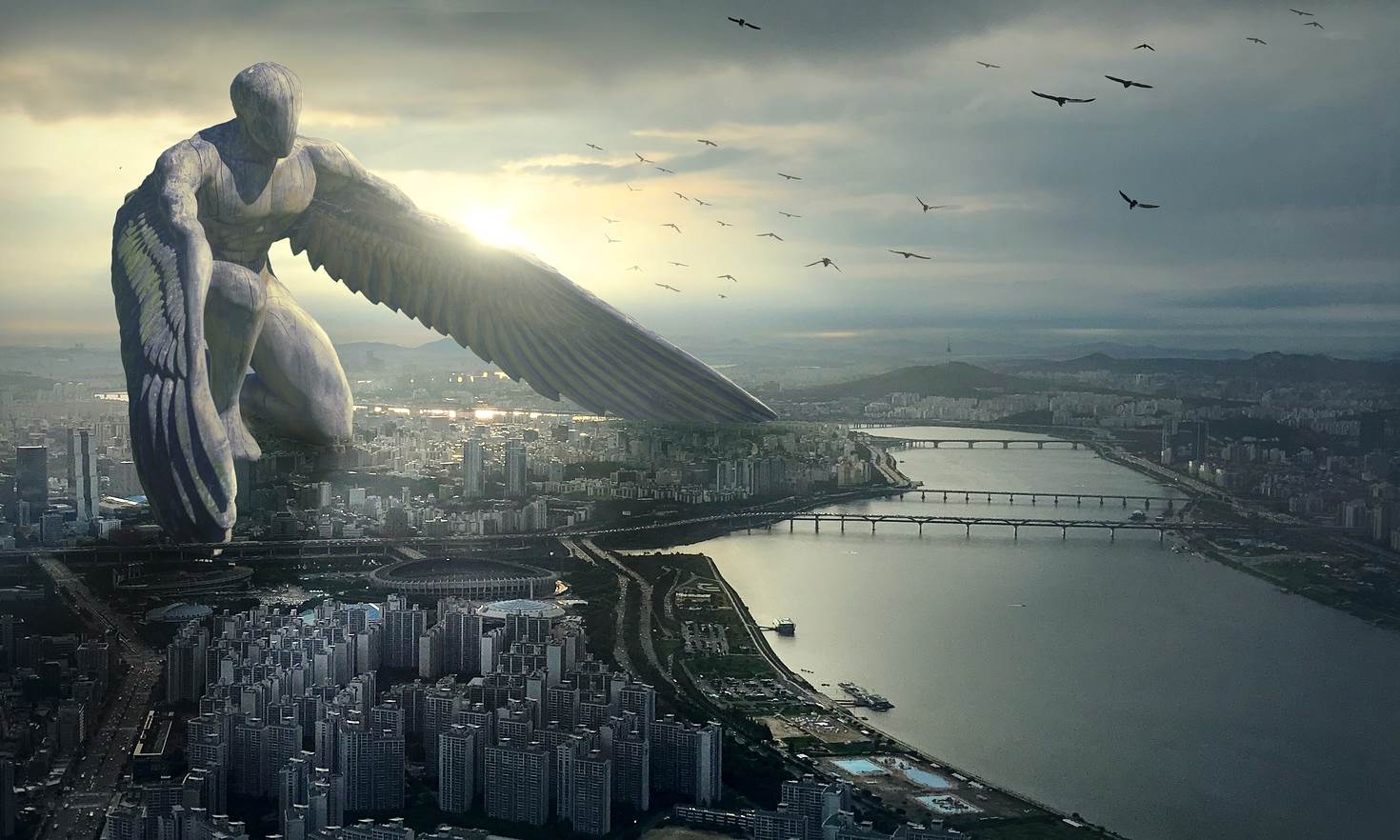 Ángel Humano - EVOLUCION.CENTER